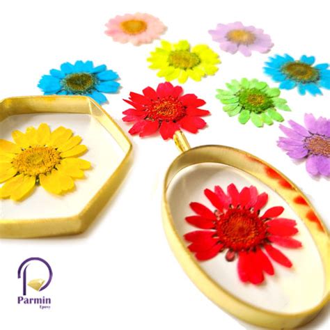 گل خشک بابونه پرس شده رنگی وارداتی پارمین اپوکسی