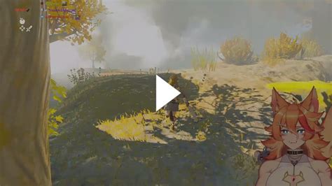 Buffpup Vs Wildlife R Strippin