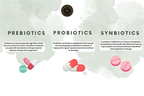Unlocking The Secrets To Optimal Gut Health A Comprehensive Guide To Prebiotics Probiotics