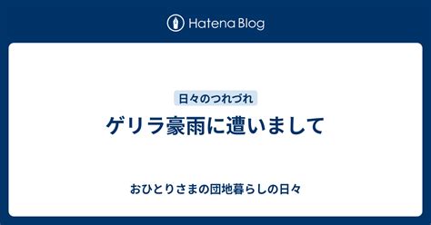 ゲリラ豪雨に遭いまして おひとりさまの団地暮らしの日々