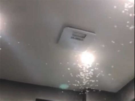 牆壁屢出「炭燒聲」！租屋一年才發現驚人真相 整間屋淪陷了 生活 Ctwant