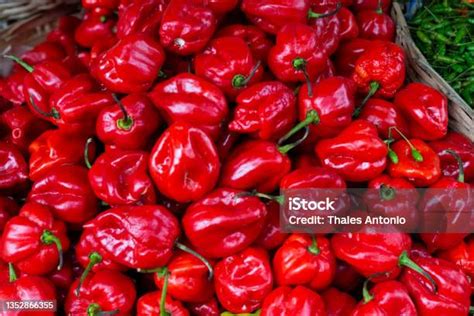 Lada Merah Dijual Di Pameran Sã O Joaquim Yang Terkenal Dan Megah Foto