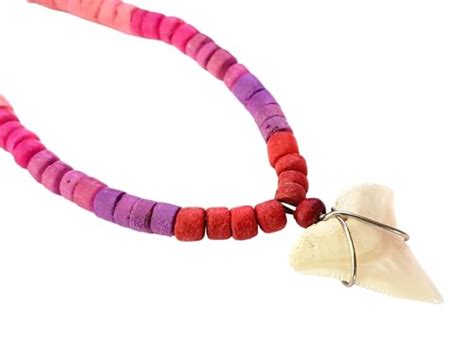 I Tested And Ranked The Best Authentic Great White Shark Tooth Necklace