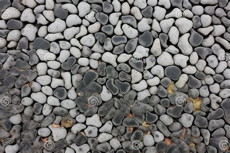 High Resolution Capture Of A Pebbled Concrete Path Stock Image Image