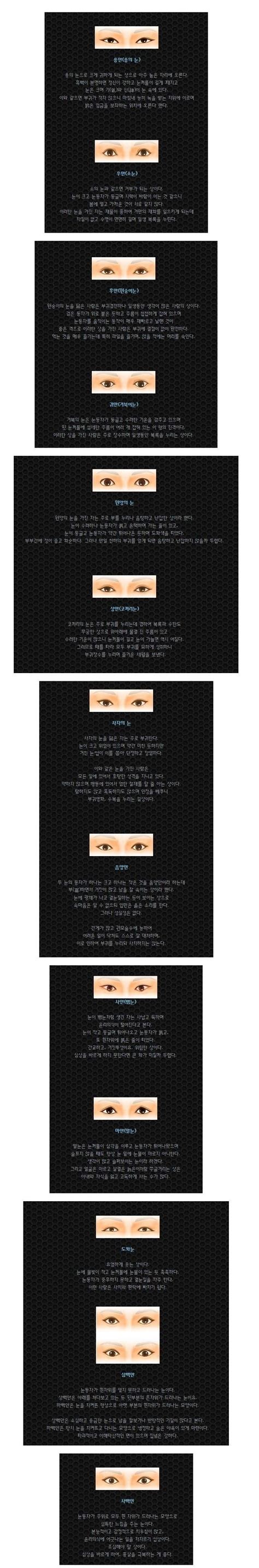 눈 모양에 따른 관상 인스티즈instiz 이슈 카테고리