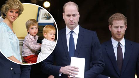 Prince William And Prince Harry To Reunite At Diana Memorial Despite