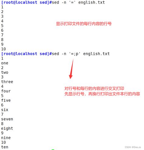 Linux文本之sed流编辑器读01流显示编辑器 Csdn博客