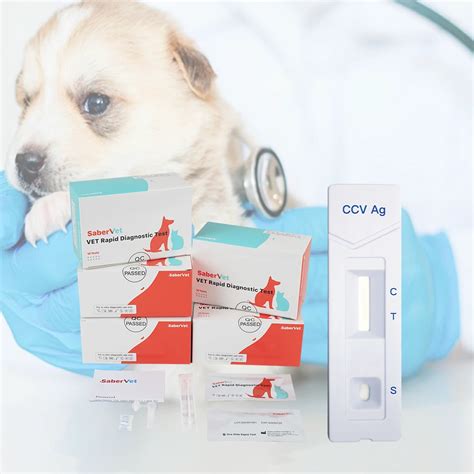 What Is Canine Coronavirus And How To Prevent Ccv Scientifically