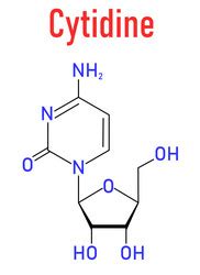 Cytidine Molecule Skeletal Formula Royalty Free Vector Image