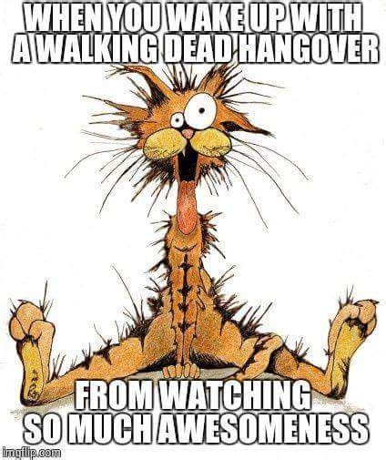 Barbara Vanover On Twitter Cat Art Bill The Cat Cat Drawing