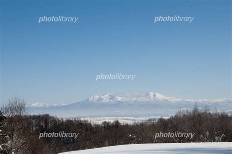 冬の大雪山 写真素材 2313695 フォトライブラリー Photolibrary