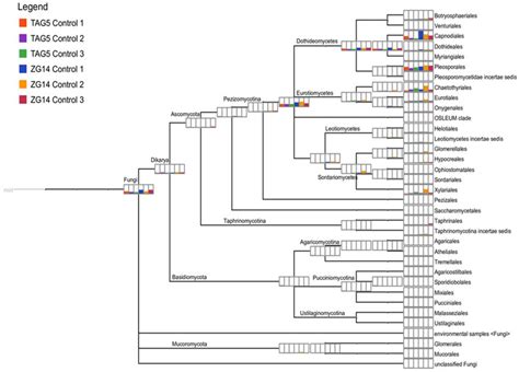 Taxonomic Affiliation Of Extracted Fungal Transcripts Taxonomic Download Scientific Diagram