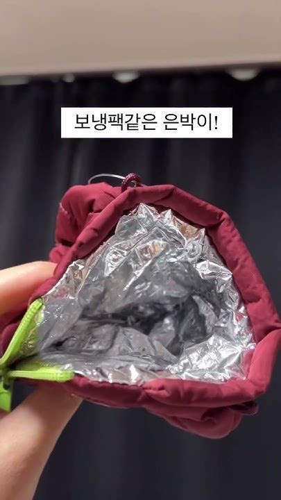 하우캔쿨러 캠핑 필수템 와디즈후기 와크클 Youtube