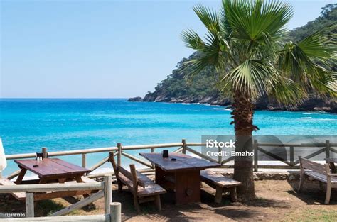 여름 방학 또는 휴가에 해안의 개념 지중해의 모래 해변에서 여름 오픈 카페 푸른 바다 모래 사장 녹색 야 자 나무와 오픈 테라스 카페 0명에 대한 스톡 사진 및 기타 이미지