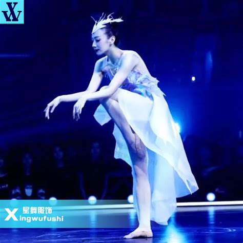 古典舞舞蹈风暴纯享版孟庆旸酉鸡出辰舞蹈服装艺术舞蹈演出表演服虎窝淘