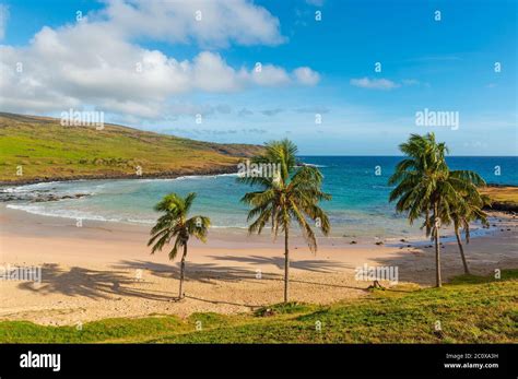 Insel kokosnuss Fotos und Bildmaterial in hoher Auflösung Alamy