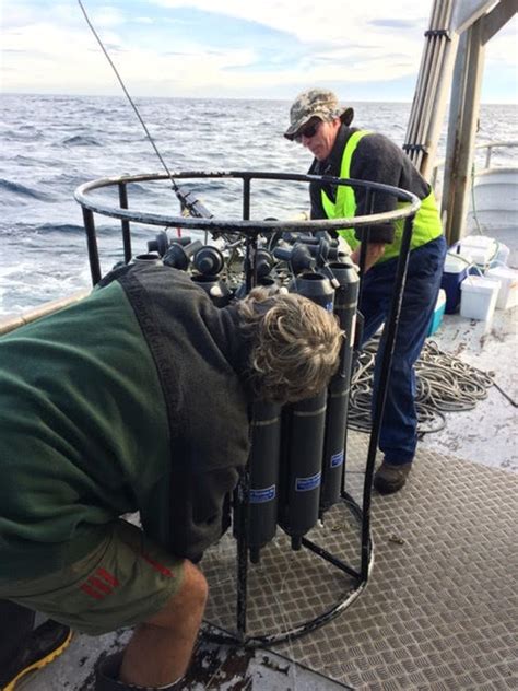 Deep Sea Micro Mystery Solved The Australian