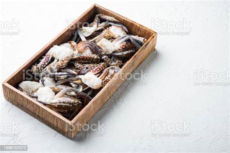 신선한 푸른 수영 게 고기 나무 상자에 흰색 배경에 카피 스페이스와 텍스트 공간 갈고리 발톱에 대한 스톡 사진 및 기타 이미지 갈고리 발톱 갑각류 게 Istock