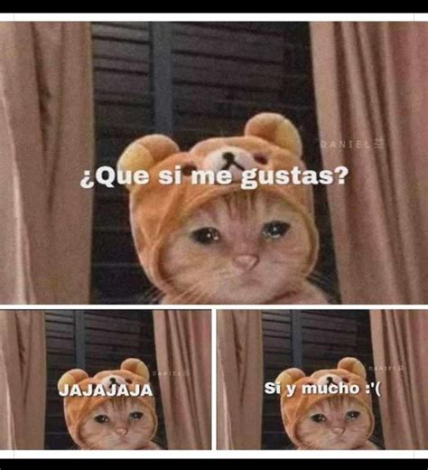 Risa Memes And Meme Image 8281657 On