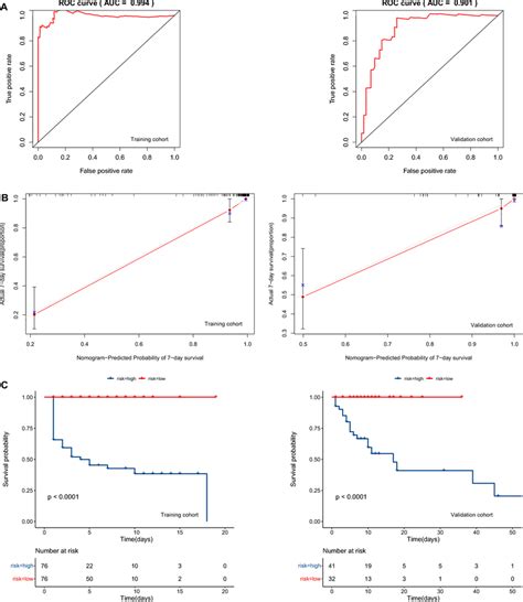 Roc Curves And Aucs Calibration Plots And Kaplanmeier Survival Curves