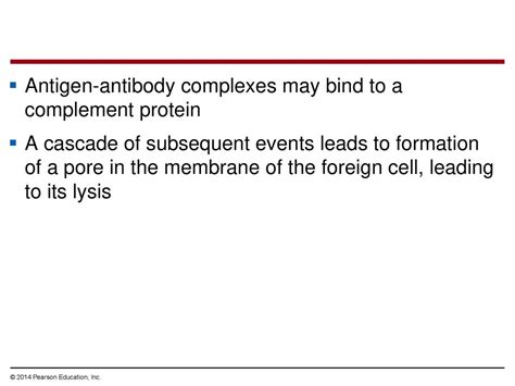35 The Immune System Ppt Download