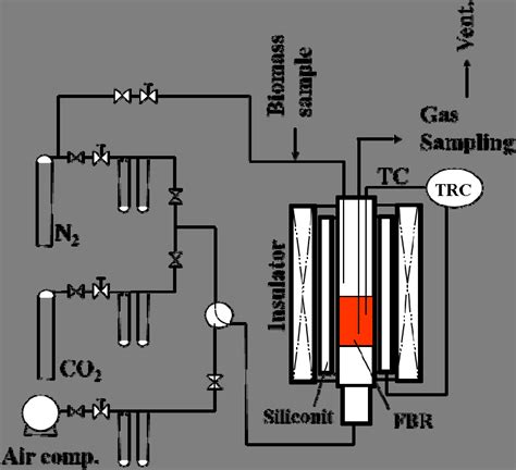 Schematics Of Fluidixed Bed Reactor Download Scientific Diagram