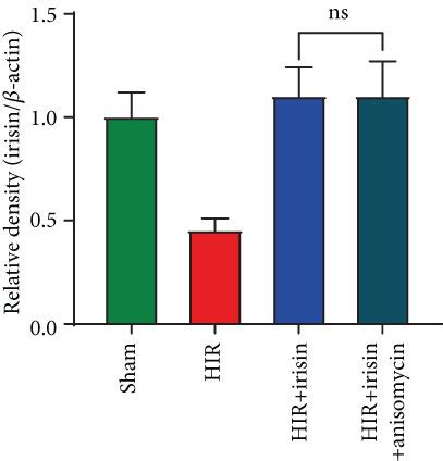 Irisin Activated The Telomerase Activity Via Inhibition Of The
