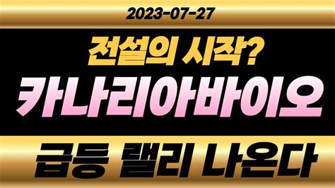 카나리아바이오 주가 전망전설의 시작급등 랠리 나온다072772 Youtube