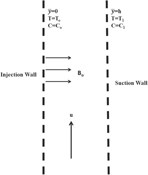 The Geometry Of The Casson Fluid Flow Download Scientific Diagram