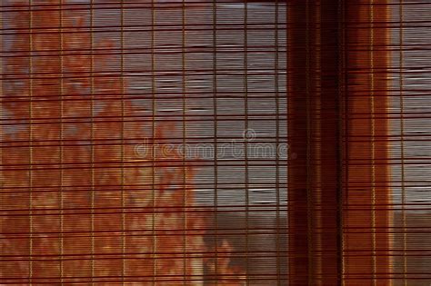 Through The Window Mat Stock Image Image Of Home Recreation 320876543