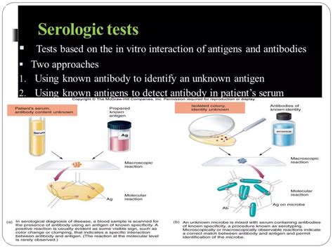Classification Of Microorganisms Pptx