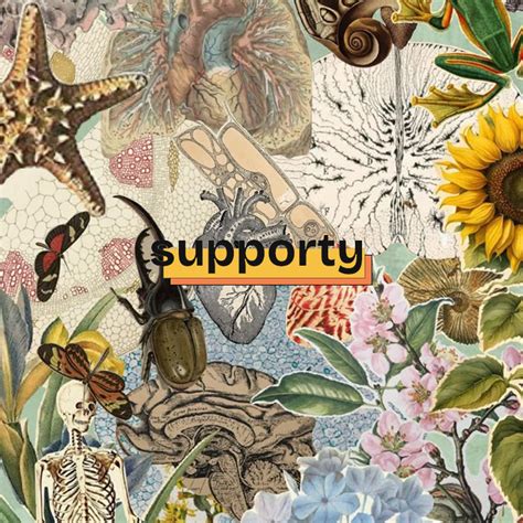 Exercices Corrigés Méiose Pdf Supporty Exercices Ressources