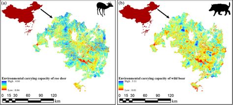 Spatial Variation Of Environmental Capacities Individualskm² Of Roe