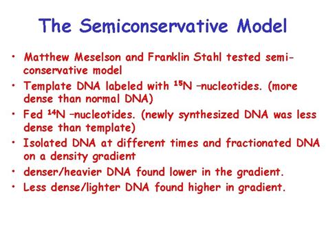 Dna Replication And Repair Watson And Crick Predicted
