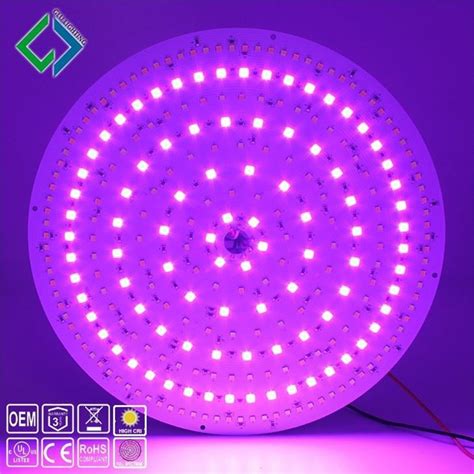 24v 5 Colores Rgb T D 250 Mm 10 Pulgadas Alto Cri Ra95 Fabricantes
