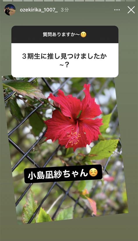 夜櫻🌱🫐🐴👶しばらく低浮上 On Twitter こんなぎ〜〜〜〜〜！！！！