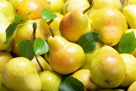 Mengandung Banyak Antioksidan Ini 5 Manfaat Buah Pir Bagi Kesehatan