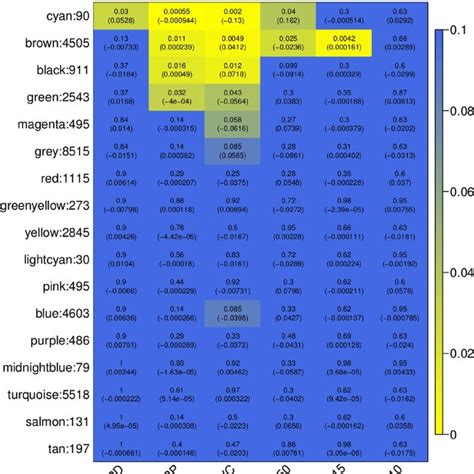 Heatmap Of Module Association With Phenotype Variables Color Scale For