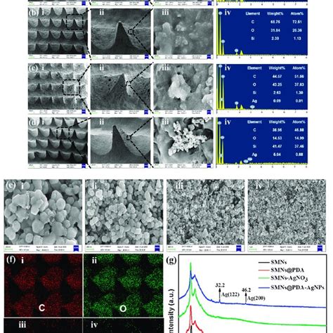 Micromorphology And Chemical Composition Of Mns Sem Images And Eds
