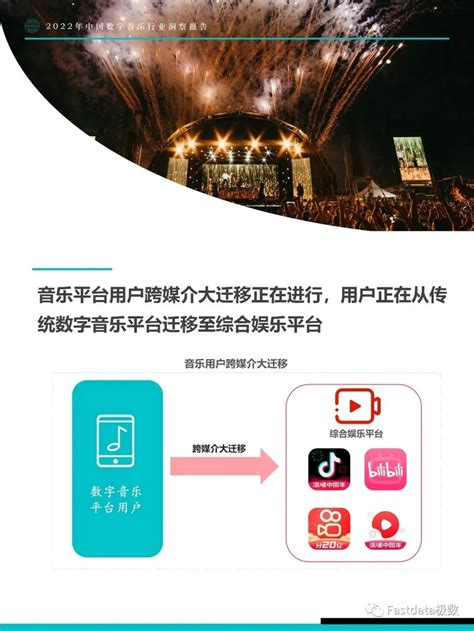 2022年中国数字音乐行业洞察报告澎湃号·湃客澎湃新闻 The Paper