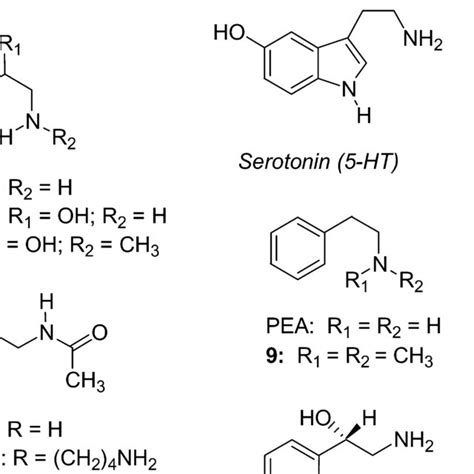 Structures Of Mao Substrates And Irreversible Inactivators Download