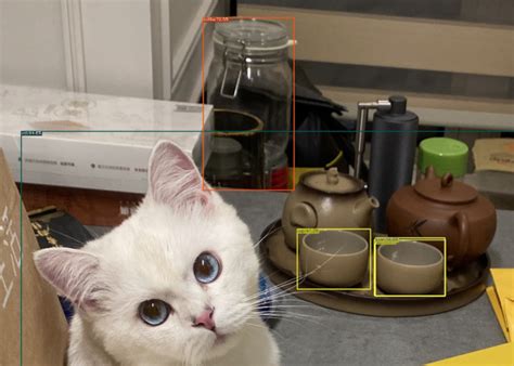 Yolox 部署与测试 知乎