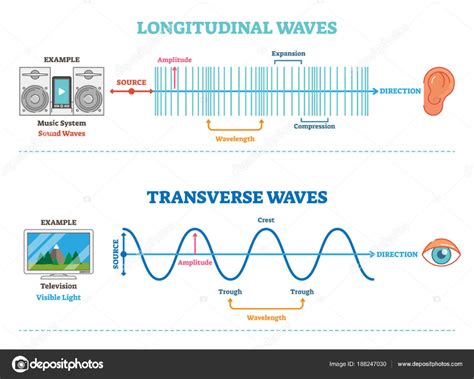 Download Longitudinal And Transverse Wave Type Vector Illustration