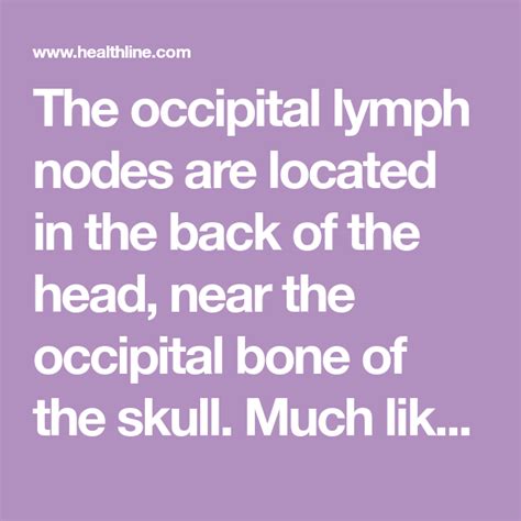 Occipital Lymph Nodes Anatomy Diagram And Function Body Maps Lymph