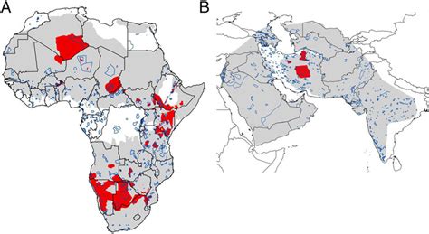 Known Cheetah Distribution In A Africa And B Asia Gray Shading