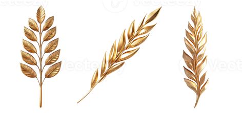 Three Golden Leaf Branches Design Elements 55329569 Png