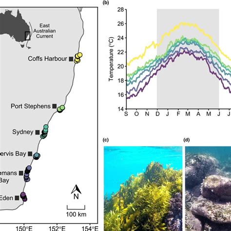 Heatmap Showing The Relative Importance Of Predictor Habitat And Download Scientific Diagram