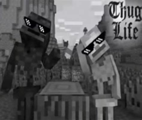 Monster School Hacker Wither Skeleton Wiki Minecraft Amino