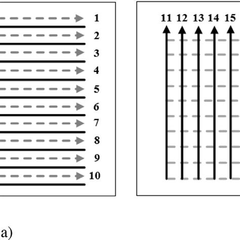 Schematic Drawing Of Laser Beam Scanning Patterns A Uni Direction