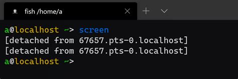 Screen Text Is Not Invalidated On Screen Detached · Issue 5646